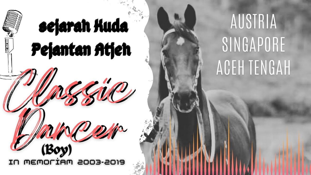 Podcast - Sejarah Kuda Classic Dancer (BOY) THB- AUS (in memoriam 2003 ...