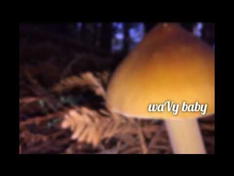 Unwind - healy