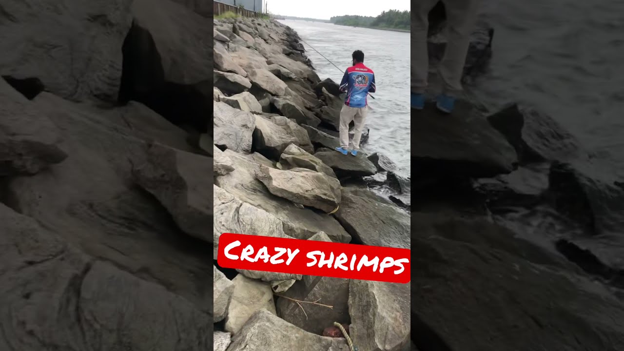 Crazy shrimps || GFin crazy shrimp || big size snapper || shrimp lure ...