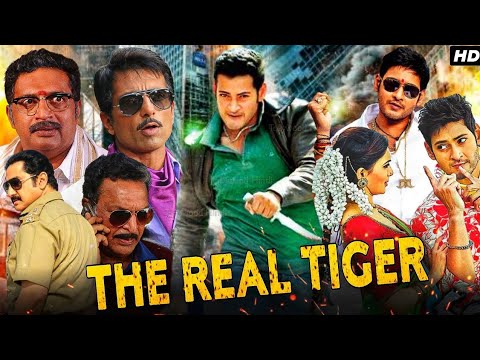 𝙁𝙞𝙡𝙞𝙢 𝙃𝙞𝙣𝙙𝙞 𝘼𝙛𝙎𝙤𝙢𝙖𝙡𝙞 𝘾𝙪𝙨𝙪𝙗 𝙁𝙖𝙣𝙥𝙧𝙤𝙟 2024 𝘿𝙖𝙜𝙖𝙖𝙡 𝙞𝙮𝙤 𝙅𝙖𝙘𝙖𝙮𝙡