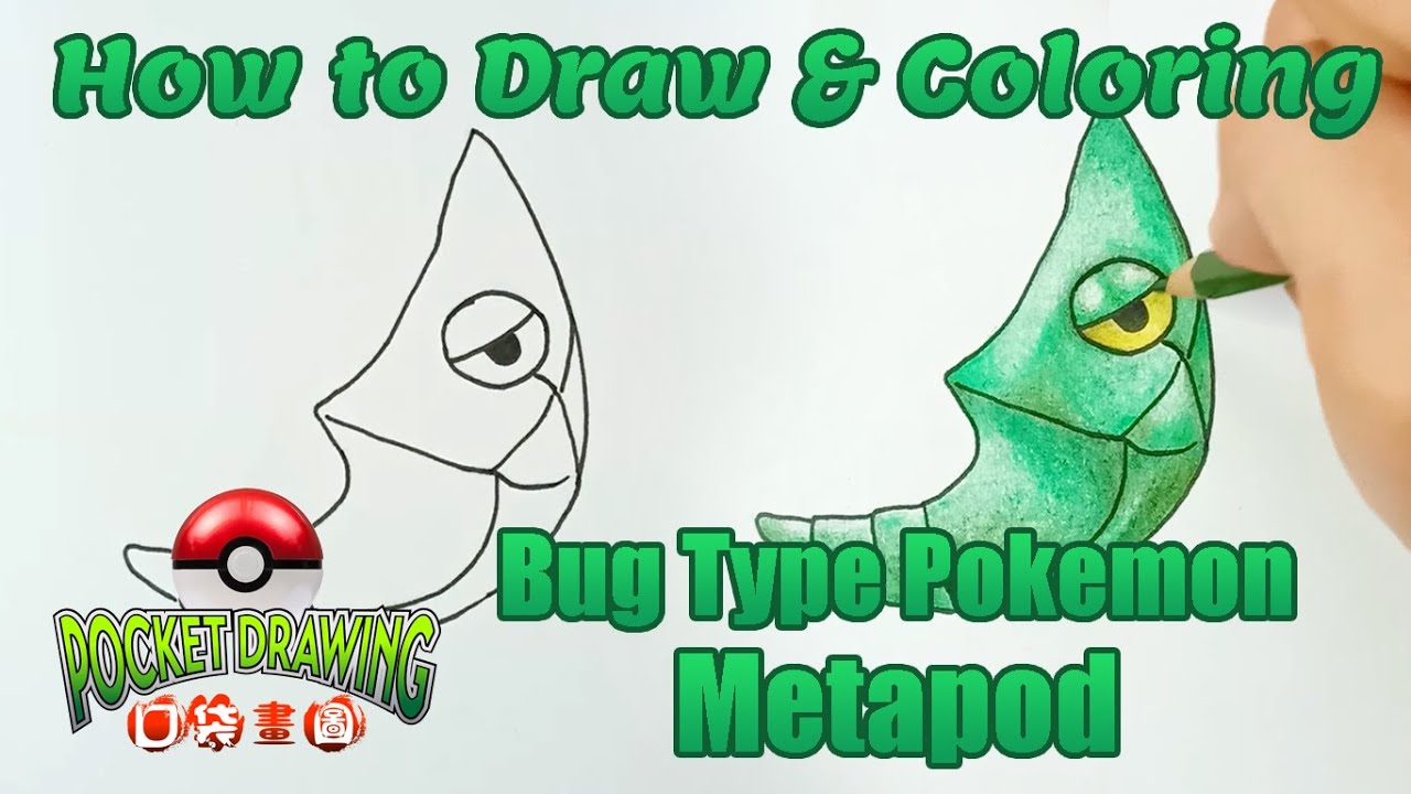 How to Draw & Coloring Metapod | Pokémon - YouTube