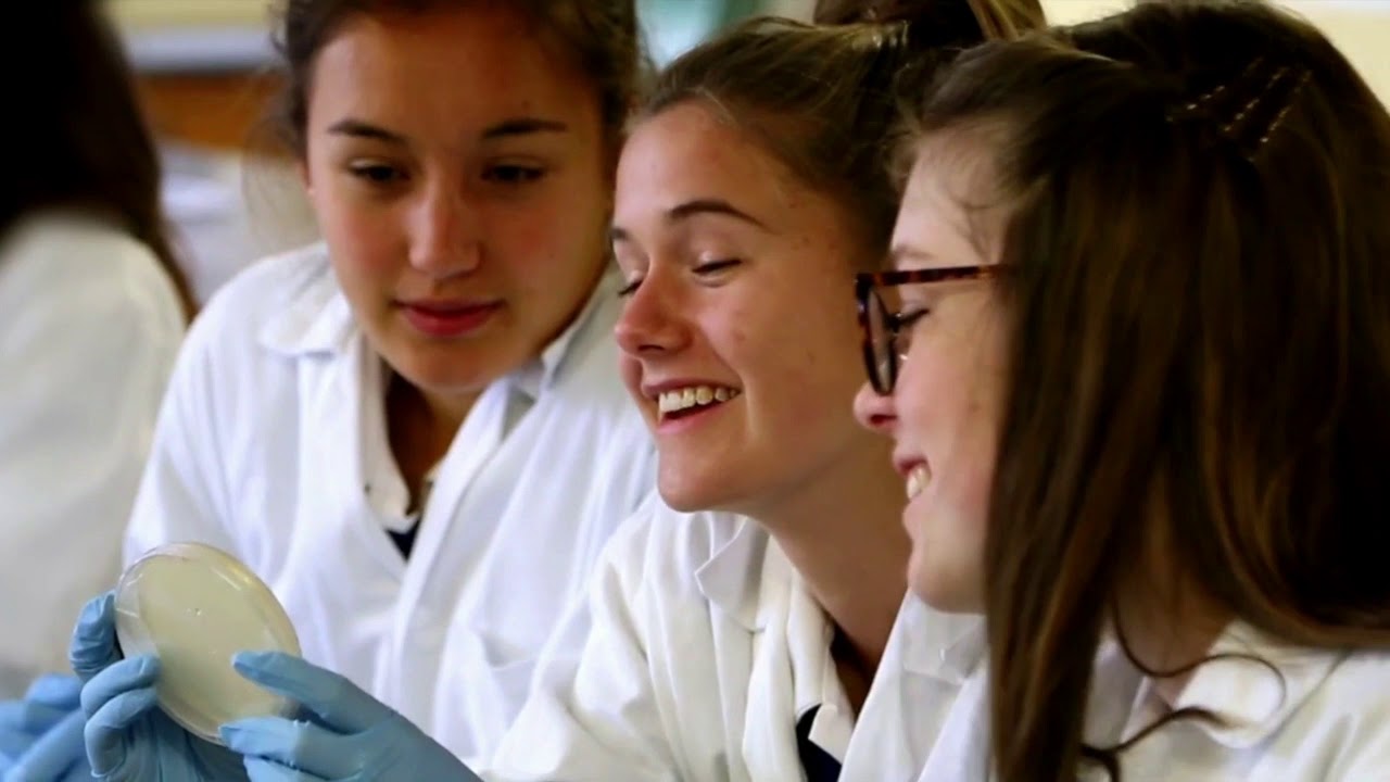 Amgen Biotech Experience in Pittsburgh - YouTube