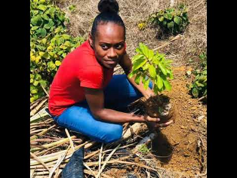 UU200 Tree Planting Program 2020 - YouTube
