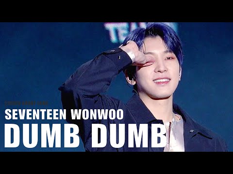 220326 세븐틴 원우 캐럿랜드 DUMB DUMB 직캠 4K