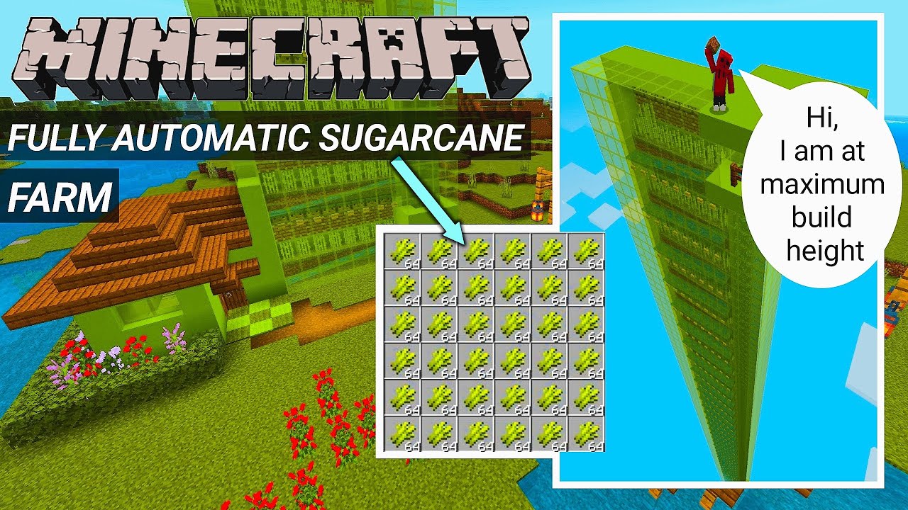 Fully Automatic Sugarcane Farm | Longest Sugarcane Farm in World ...