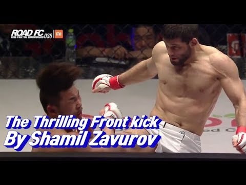 The Thrilling Front kick By Shamil Zavurov