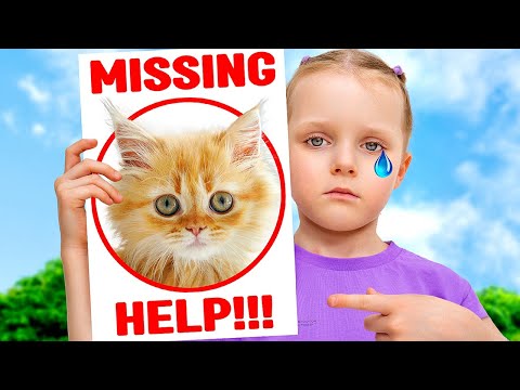 Cat Missing – Let’s Find the Kitty!