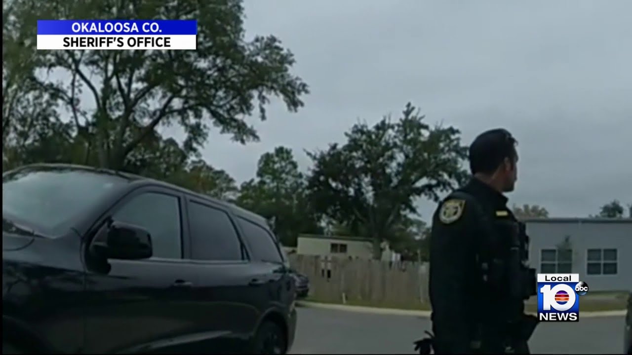 Florida deputy mistakes falling acorn for gunshot - YouTube