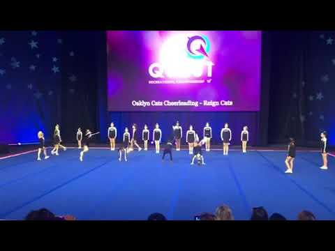 Oaklyn Cats - Reign Cats - YouTube