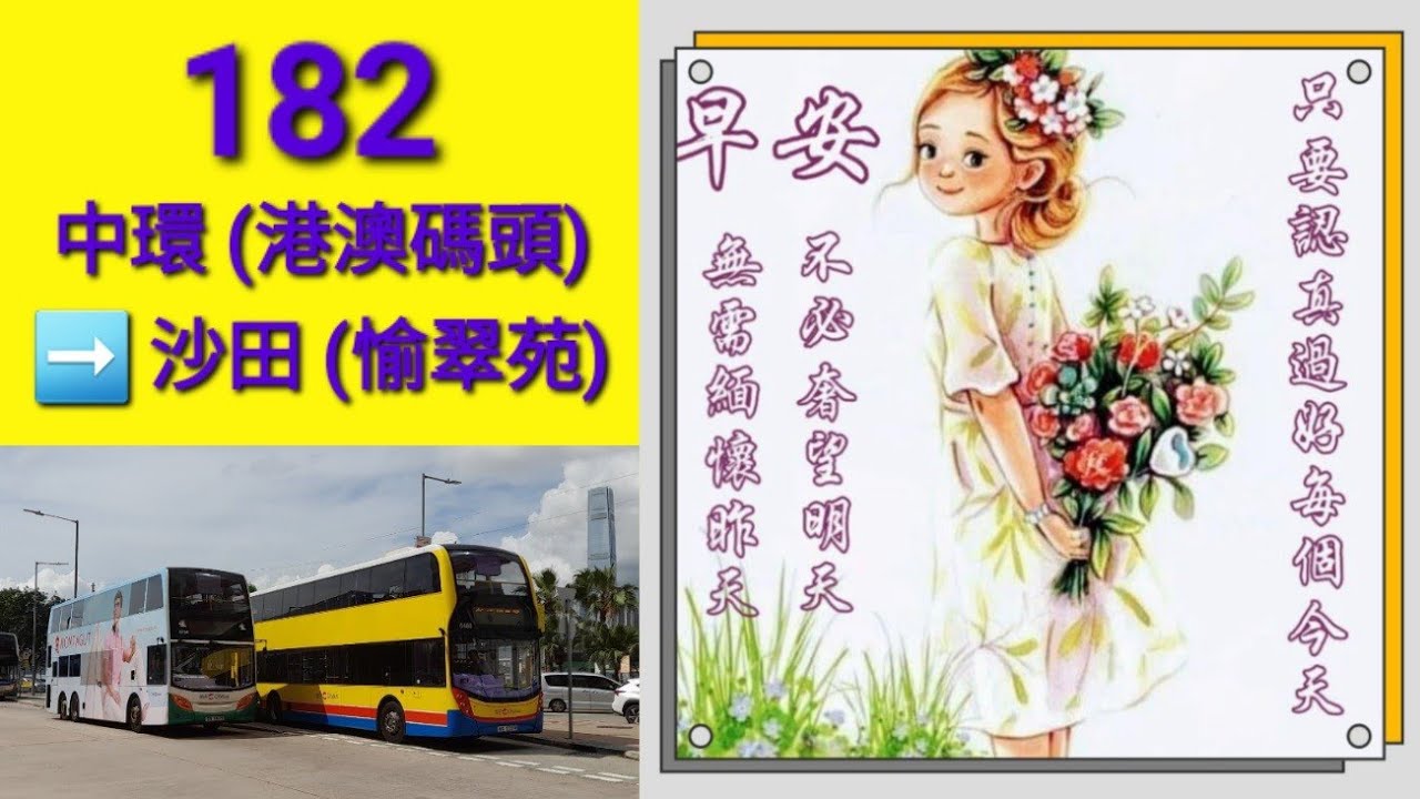 Hong Kong Bus CTB 6488 @ 182 城巴 Alexander Dennis Enviro500 MMC New ...