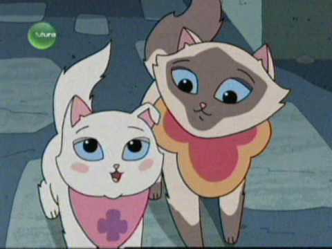 Sagwa | Episódio 75 | A irmã - YouTube