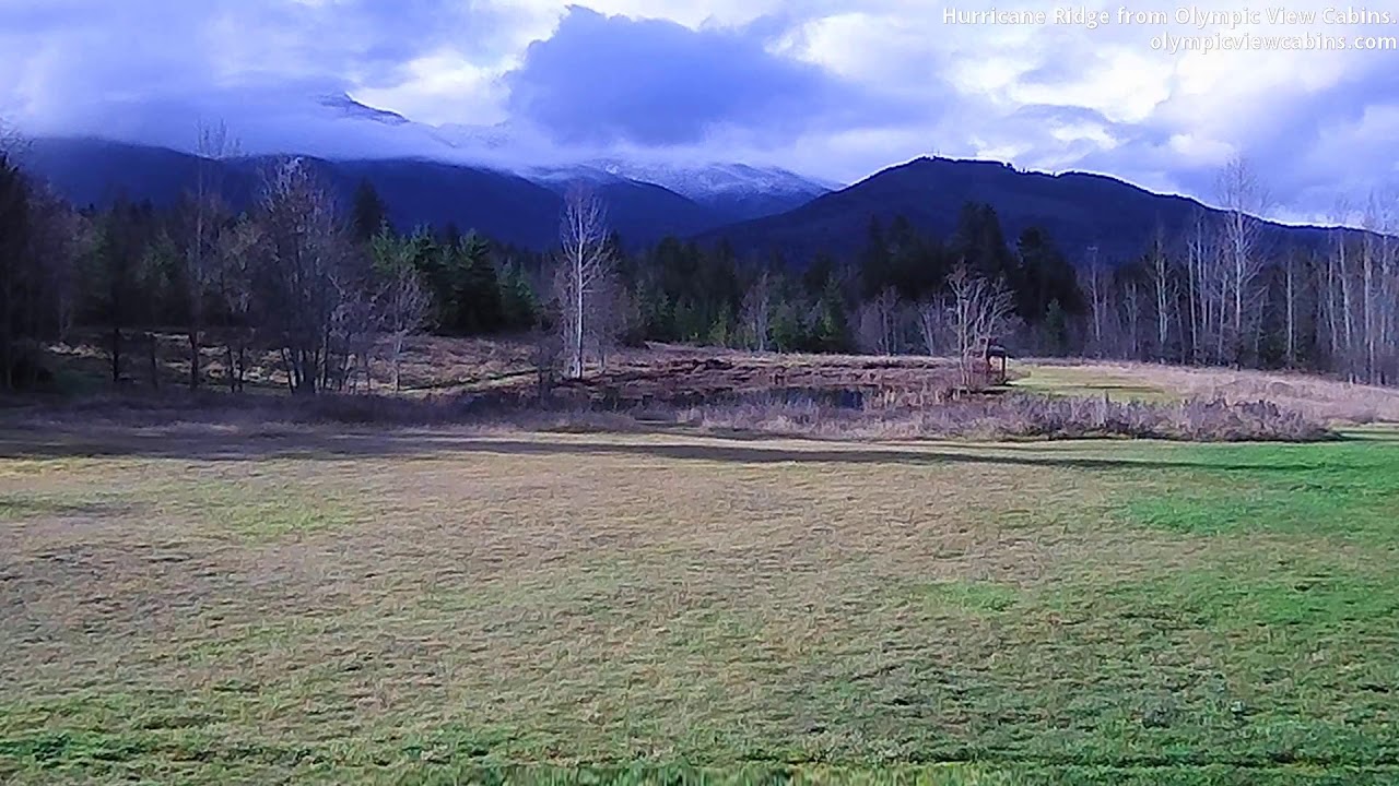 2019-12-13 Olympic View Cabins Hurricane Ridge Cam - YouTube