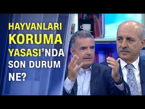 Numan Kurtulmuş Ak Parti Gençlik Kolları'nın filmini değerlendirdi