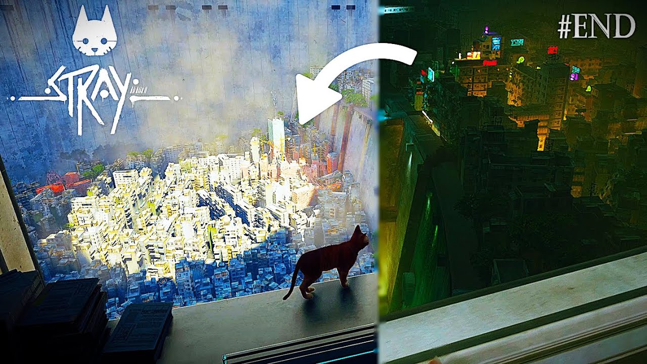 Escape or Reunion? Unveiling the Fate in Stray (END) - YouTube