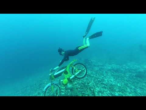 FREEDIVE JIKOMALAMO TERNATE MALUT ‼️