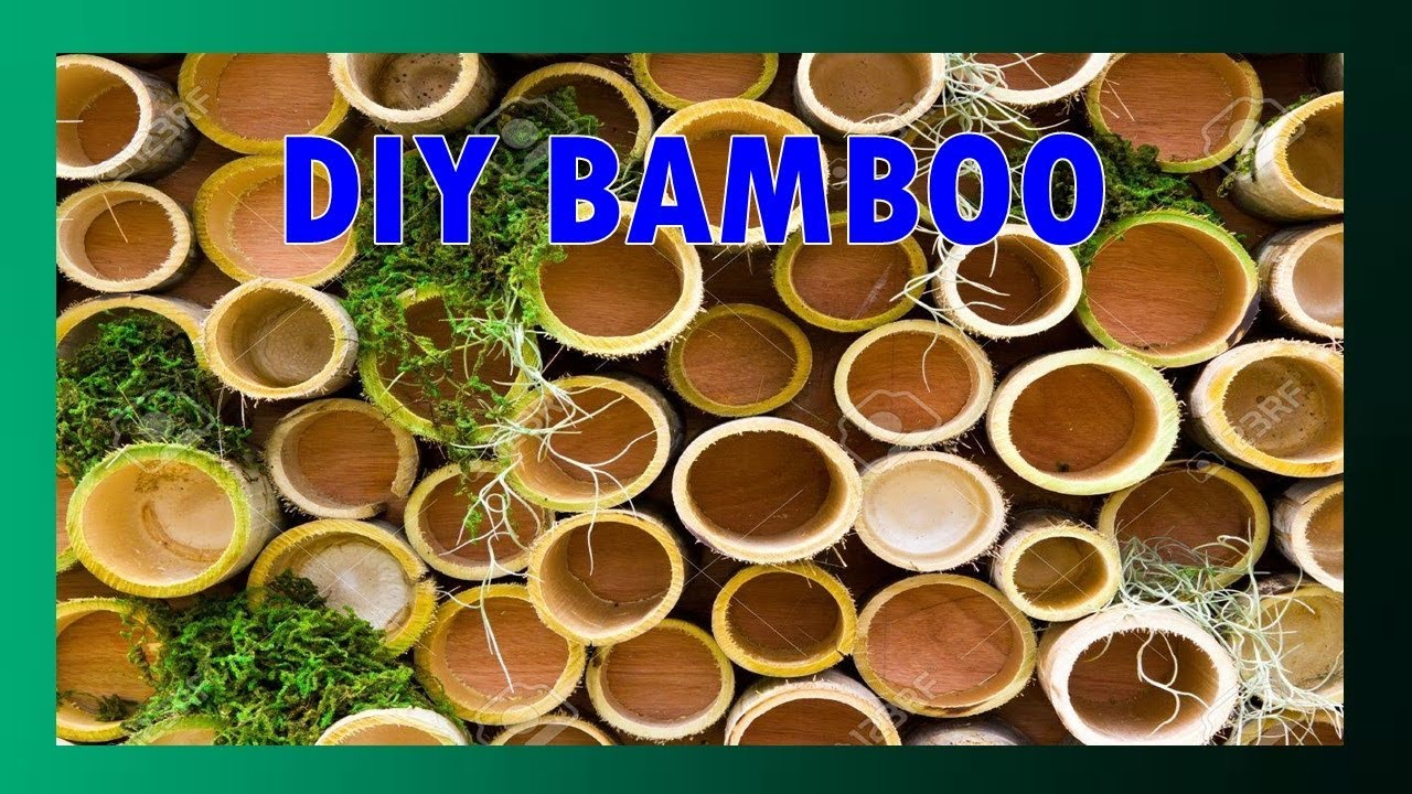 # TIS # KREASI & INOVASI BARU BERKEBUN DARI BAMBU BEKAS | VERTIKULTUR ...