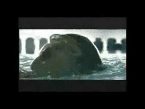 Kaiser Permanente Thrive Campaign - '04 (Swimming) - YouTube
