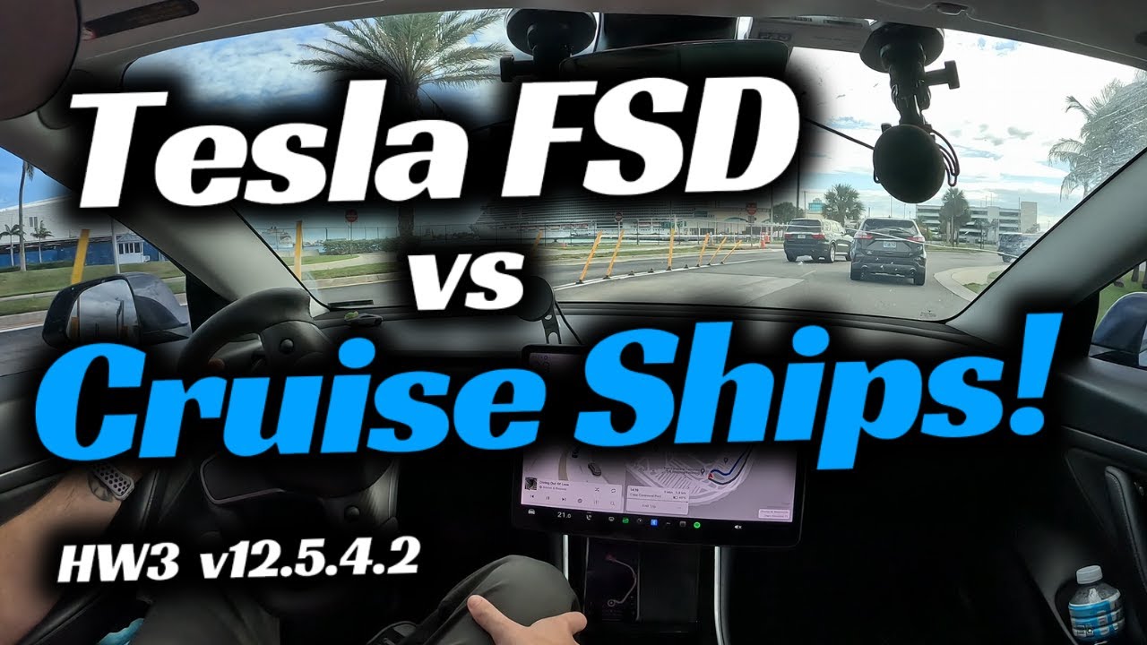 I Took Tesla FSD into a Cruise Ship Terminal! | Customer Reactions! Ep ...