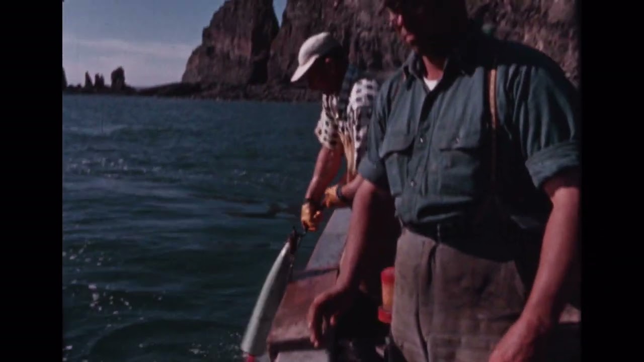 The Cape Islander 1960 Fc34 - YouTube