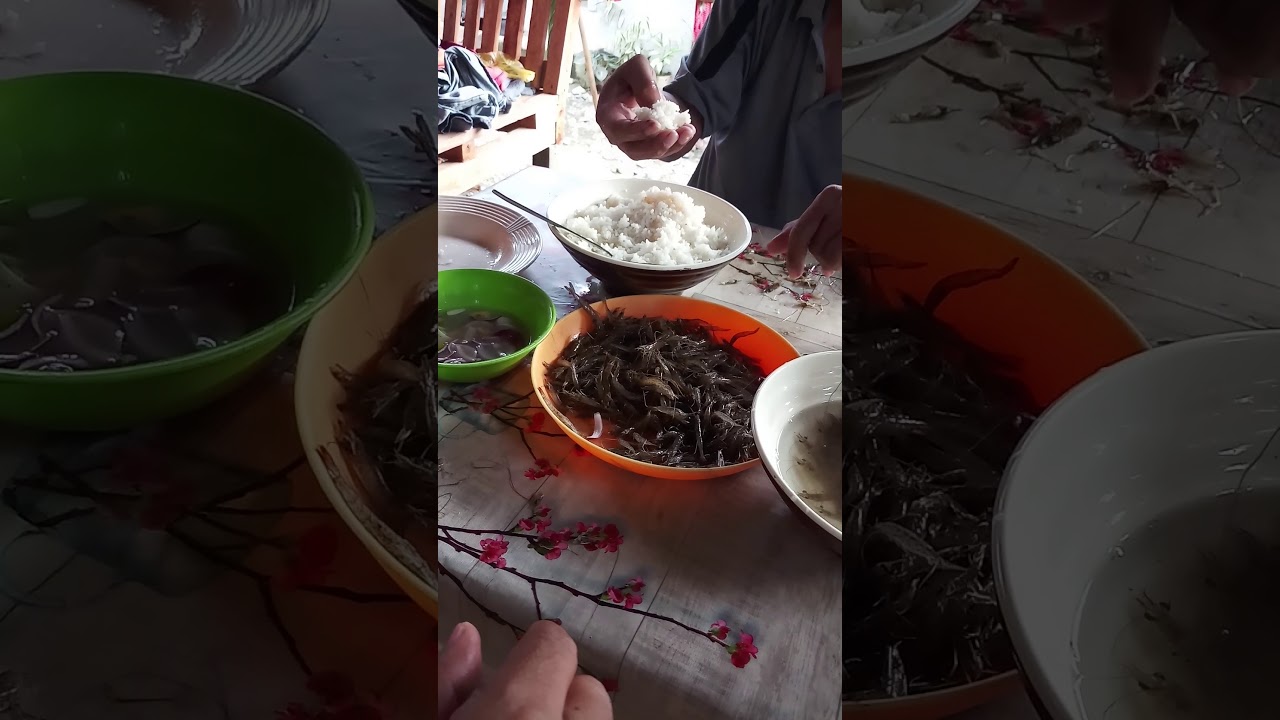 Jumping salad - YouTube