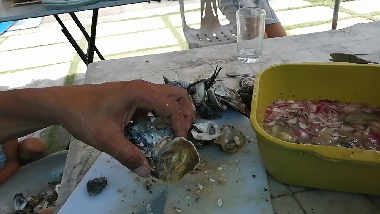 Paano magbukas ng talaba? - YouTube