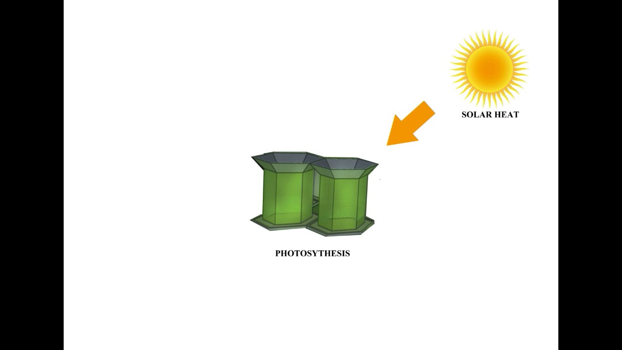 BIOELECTRICITY PLANT - YouTube