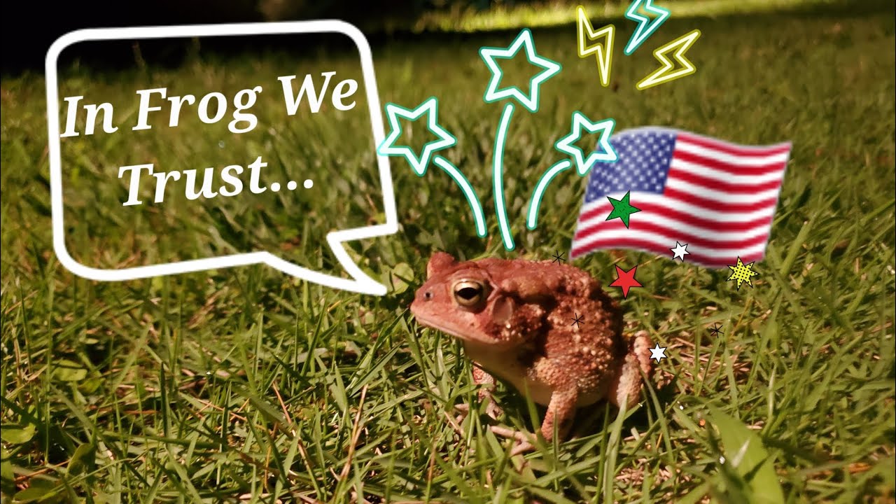 Planche Journey 7: Froggy Style - YouTube