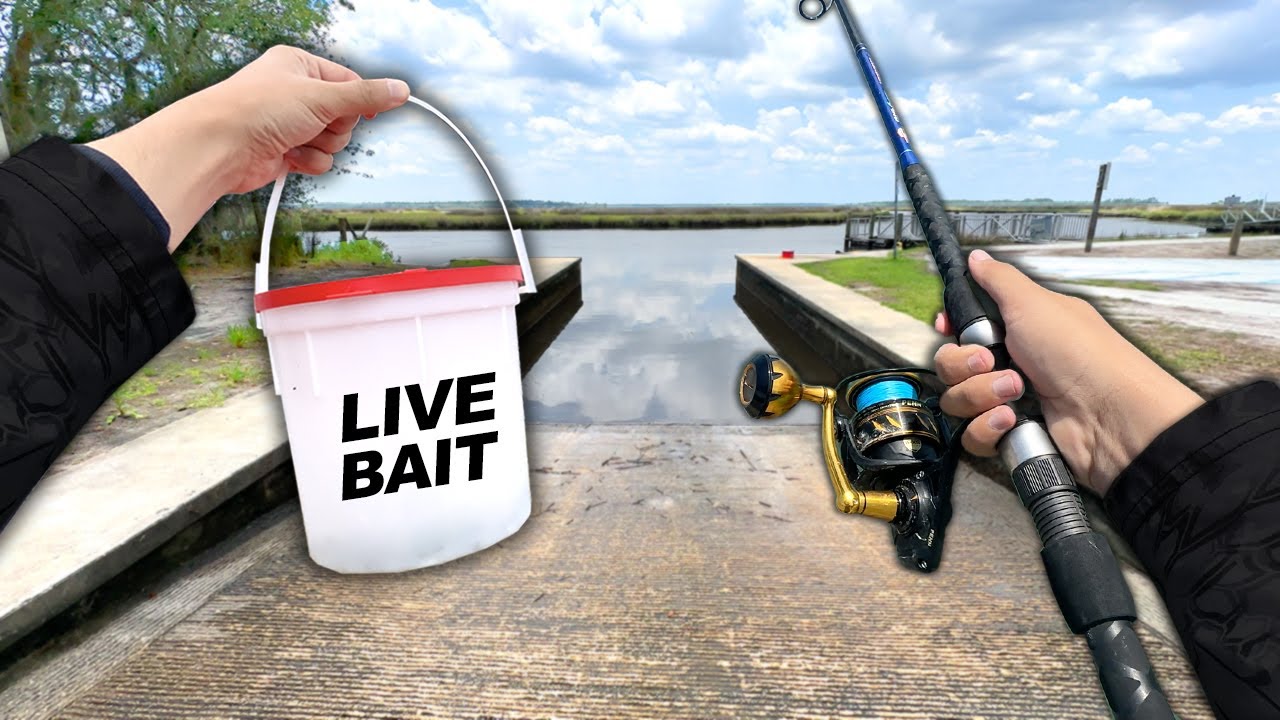 Fishing the BOAT RAMP! Catch and Cook for my CRAZY NEIGHBOR - YouTube
