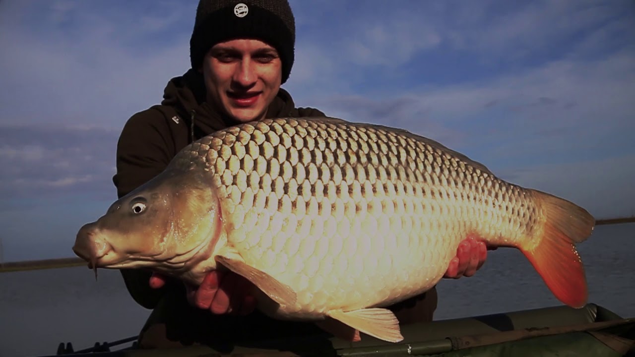 Alex Ardelean pe Lacul Iannis in Noiembrie 2019 - Around Carp Series ...