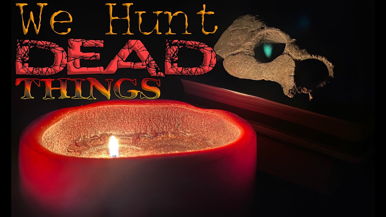 We Hunt Dead Things - YouTube