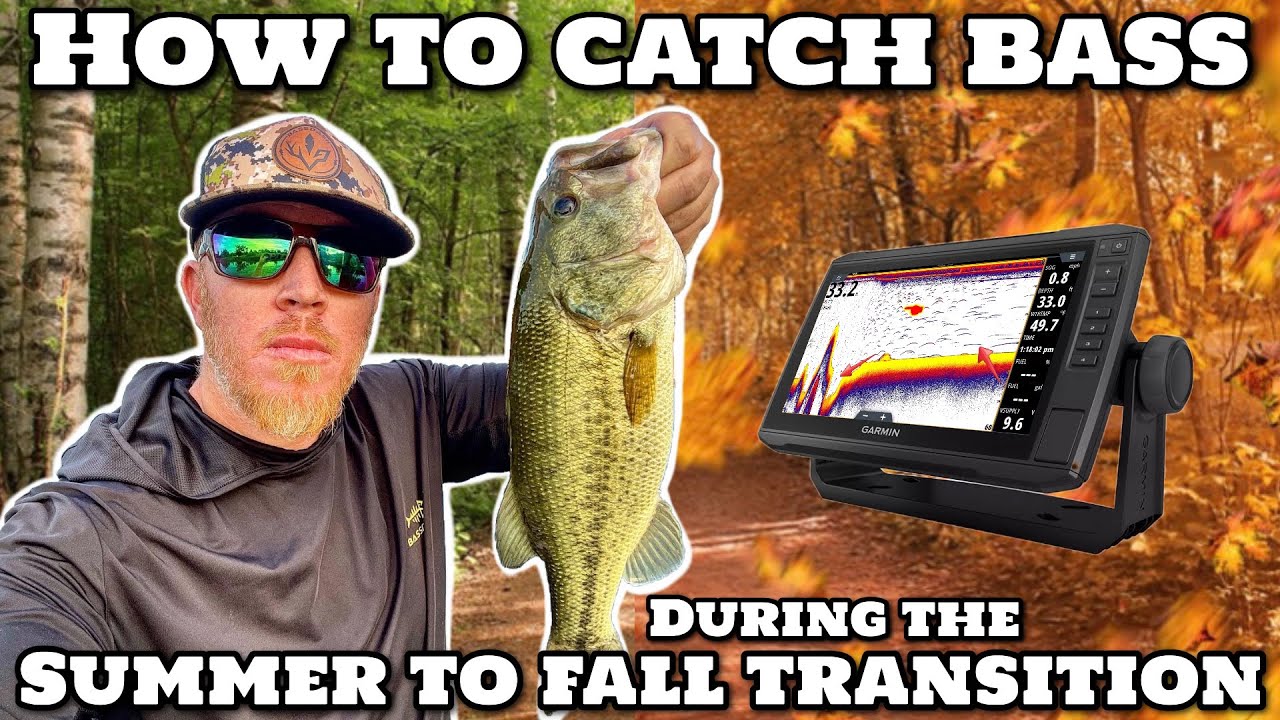 Bass Fishing | Summer To Fall Transition Tips - YouTube