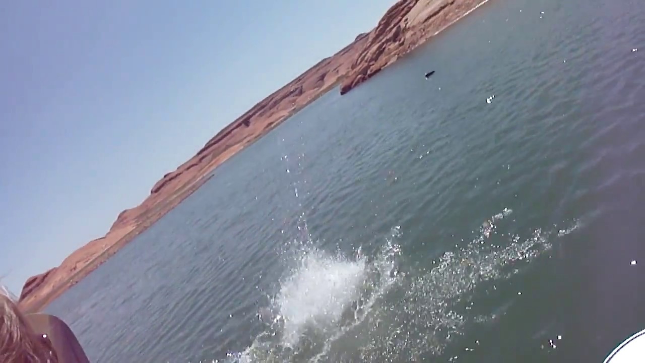 Back Flip off house boat! Nice landing - YouTube