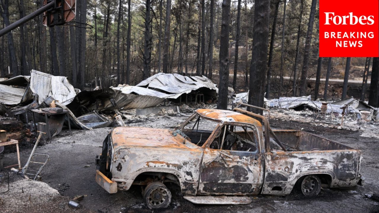 Drone Footage Captures Destruction From South Fork Fire In New Mexico ...