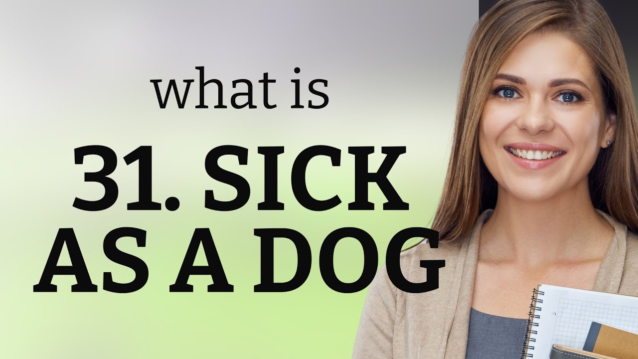 Understanding "Sick as a Dog": A Deep Dive into English Idioms - YouTube