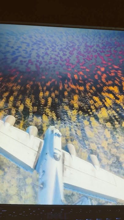 United flight 232 #aviation #crash #planecrash #united#warthunder#dc10 ...