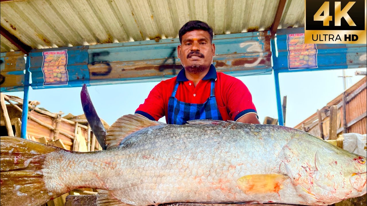 Koduva fish cutting video/fishcuttingrs#fish #kasimedu #fishcuttingrs ...