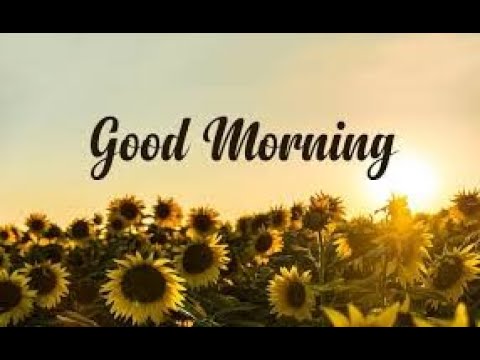 Good Morning - Ringtone [With Free Download Link] - YouTube