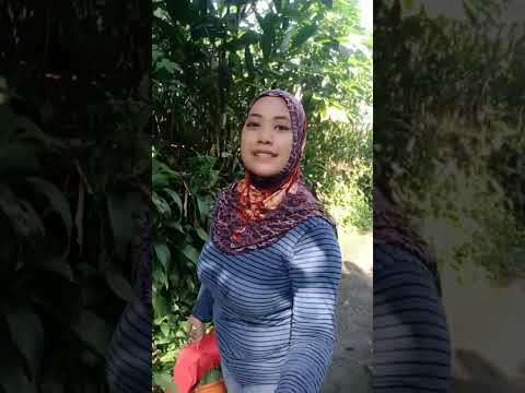 Temenin Nyari Rumput Di Kebun Ku 🍑 Yang Udah Lebat 🦔 Kawinin Aku,Mas 😳 Wes Capek Nyari Pakan Embek☹️