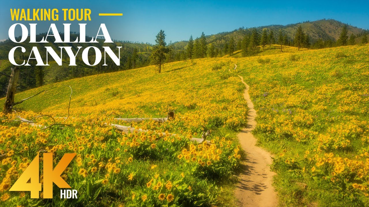 Olalla Canyon Ridge Trail - 4K HDR Scenic Hike among Wildflowers with ...