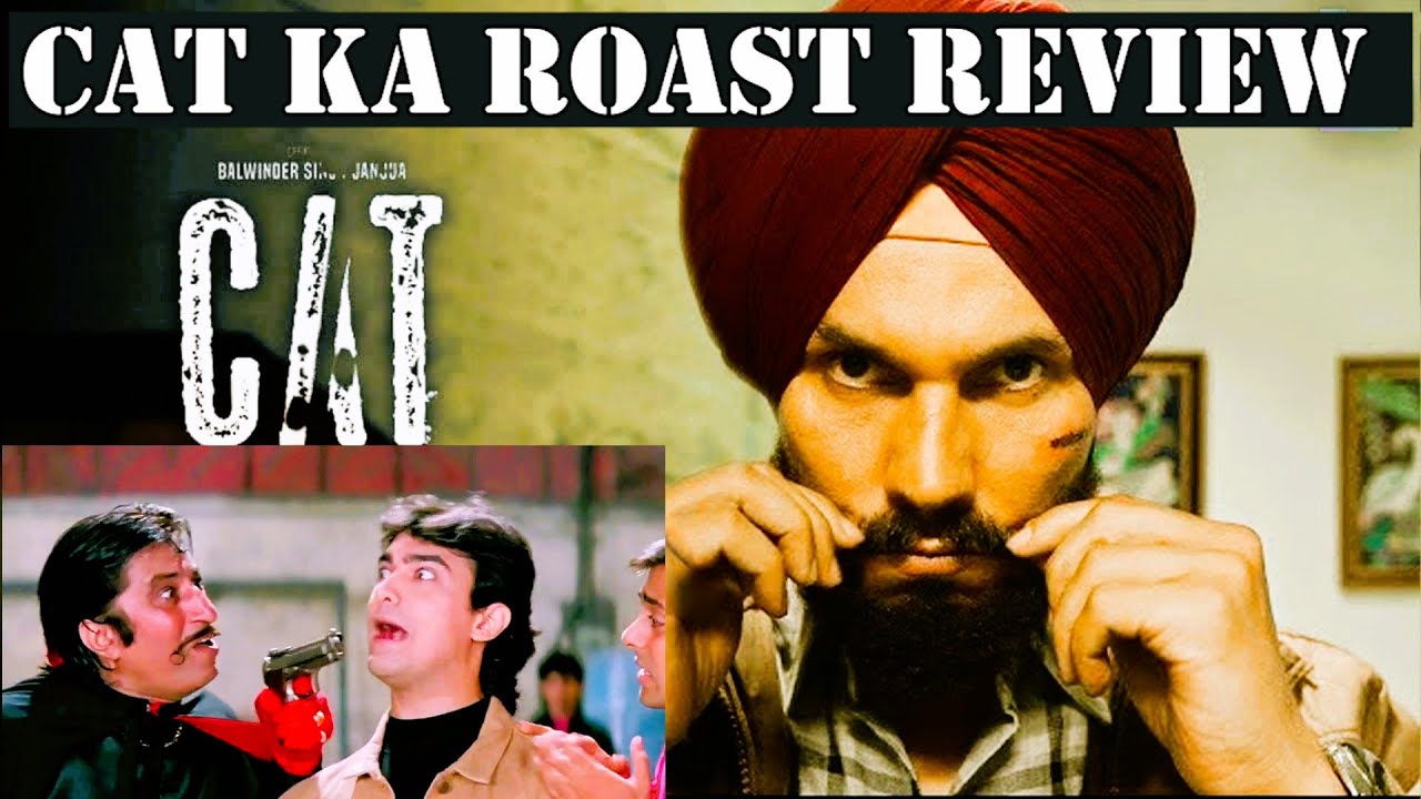 CAT ka Hindi ROAST REVIEW l Netflix India Series Cat - YouTube