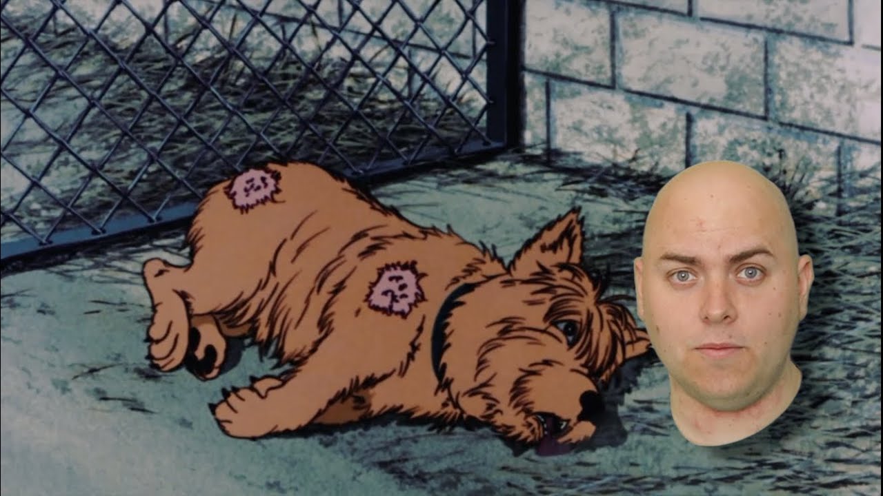 Plague Dogs | Another Dark Animated Movie - YouTube