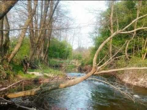 Łososina - Wierna Rzeka - YouTube