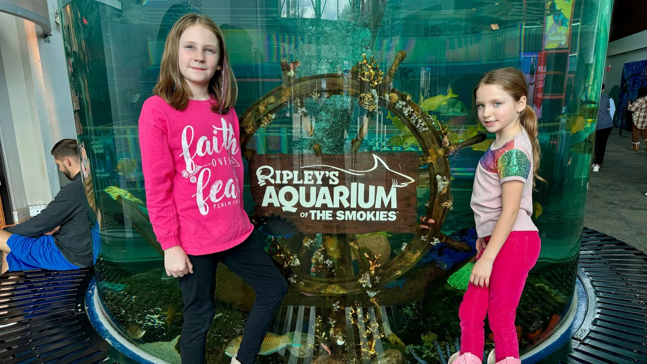 Explore Ripley's Aquarium of The Smokies with The Stalans Family in ...