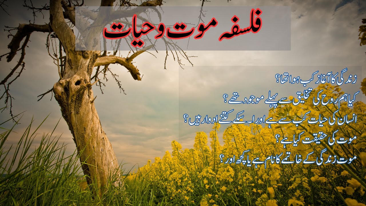 Maut o Hayat ki Haqiqat | Zindagi Aur Maut Ki Haqeeqat | Falsafa e Hayat | Falsafa e Maut - YouTube