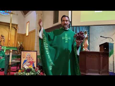 La Homilía del Padre Jayme - XXVII DOMINGO DEL TIEMPO ORDINARIO - YouTube