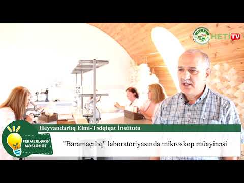 Qafar Məmmədov - \