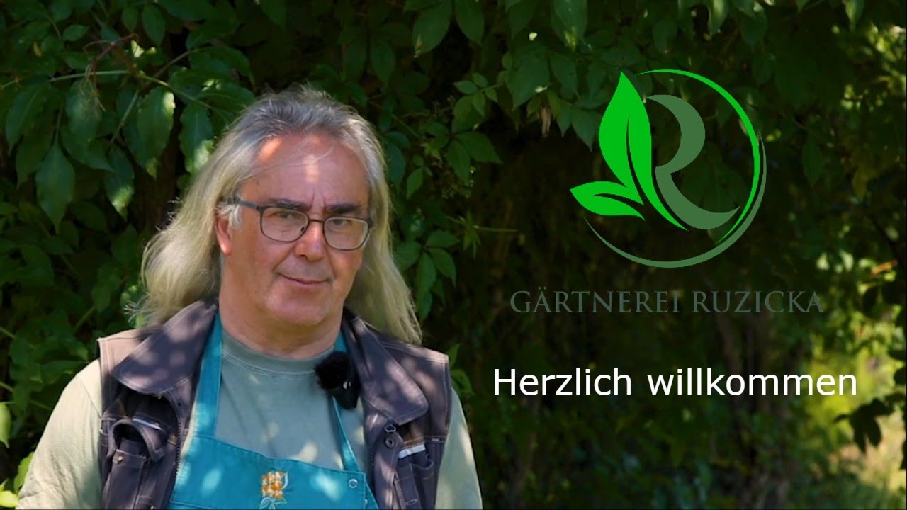 Willkommen in der Gärtnerei Ruzicka - YouTube