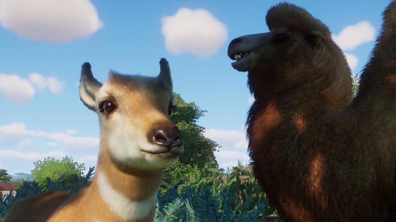 Cypress Zoo; Ep 1 Pronghorns, Bactrian Camels, and Entrances! - YouTube