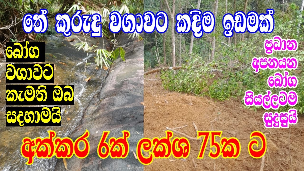 මතුගම බදුරලිය කෙලින්කන්දෙන් වටිනා අක්කර 6ක ඉඩමක් | land for sale ...