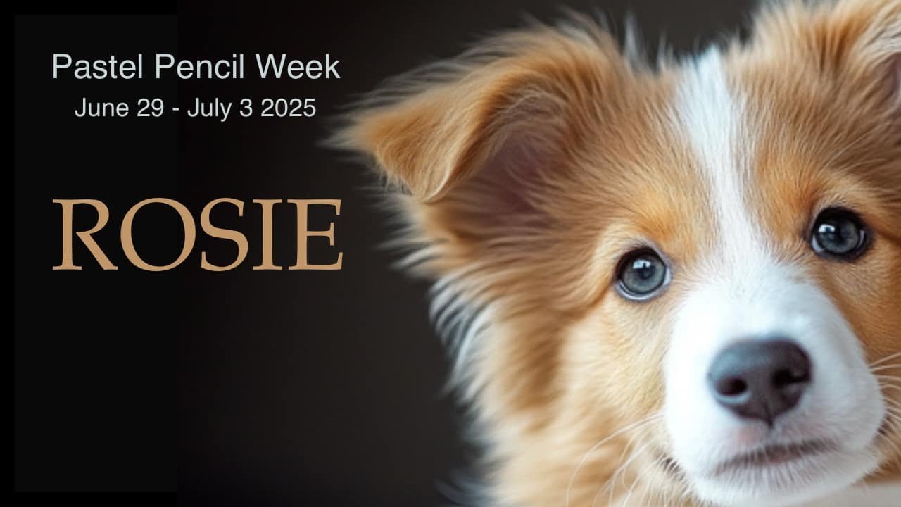 Pastel Pencil Week - Draw LIVE Rosie only £10 - YouTube